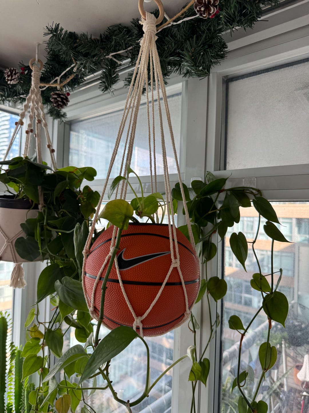 Nike Mini Basketball Hanging Planter (white Macrame OG) - Etsy