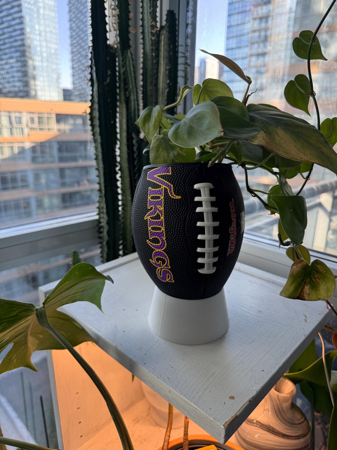 Mini Football Planter (minnesota Vikings) - Etsy