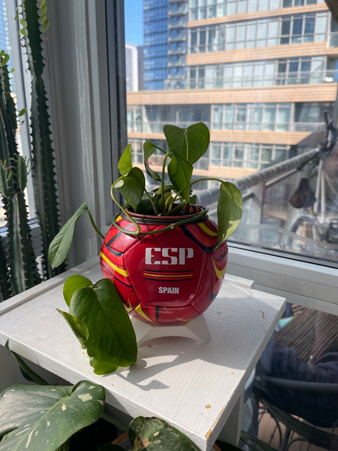 Mini Soccer Ball Planter spain - Etsy