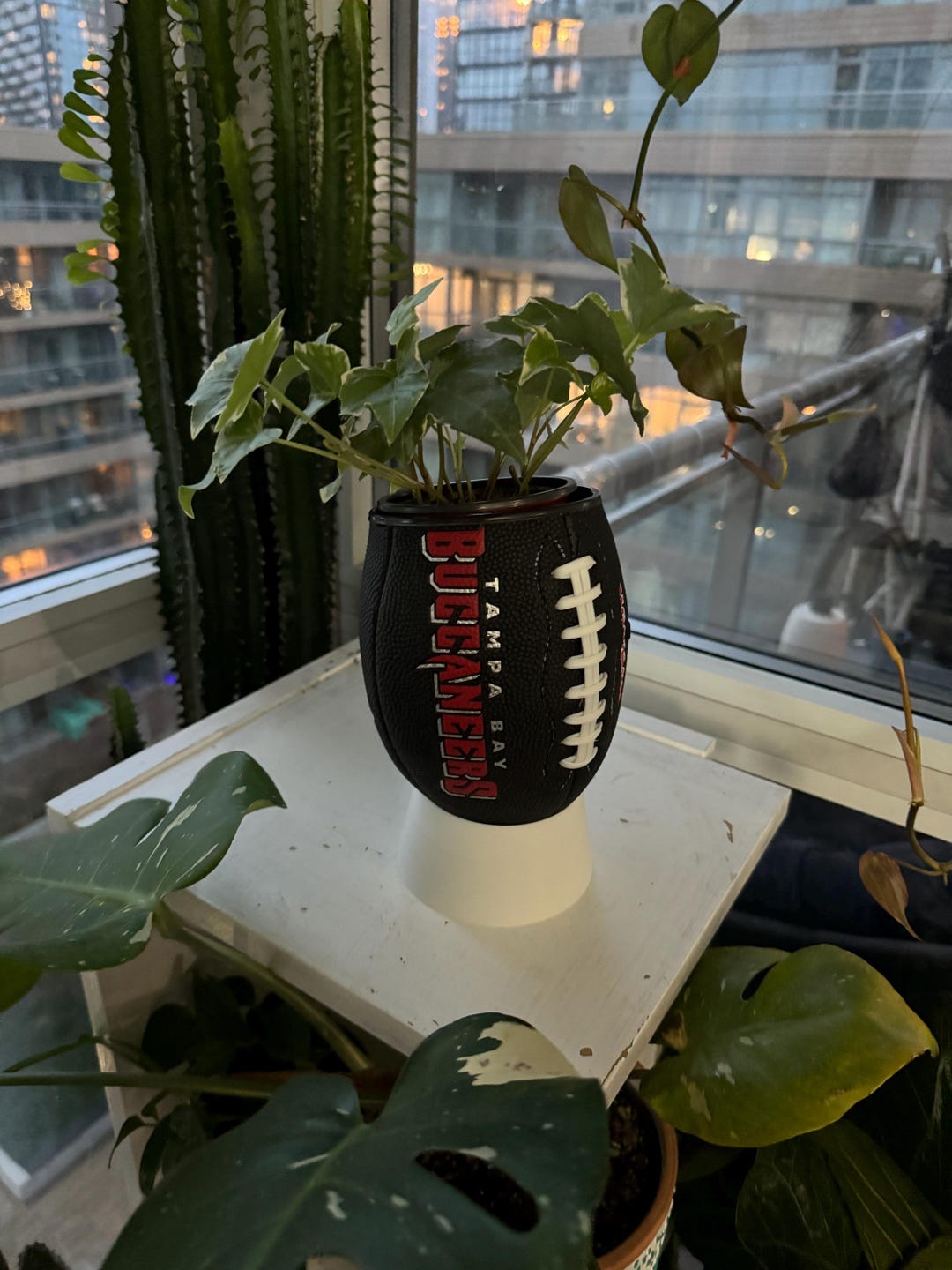 Mini Football Planter (tampa Bay Buccaneers) - Etsy