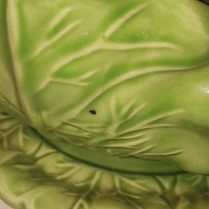 3 Pc of Vintage Ceramic Lidded Cabbage-shaped Candy Bowl,nuts Bowl ...