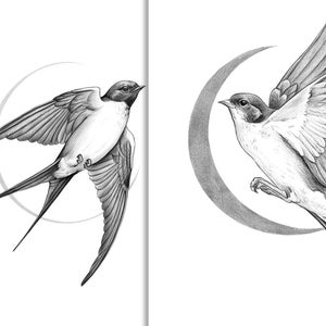 Bird Tattoo Sketch – Black and White Line Art, Minimalist Bird Flash ...