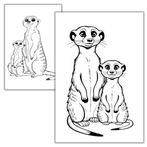 Meerkat Coloring Page | Printable Cute Animal Art for Kids & Adults - Etsy