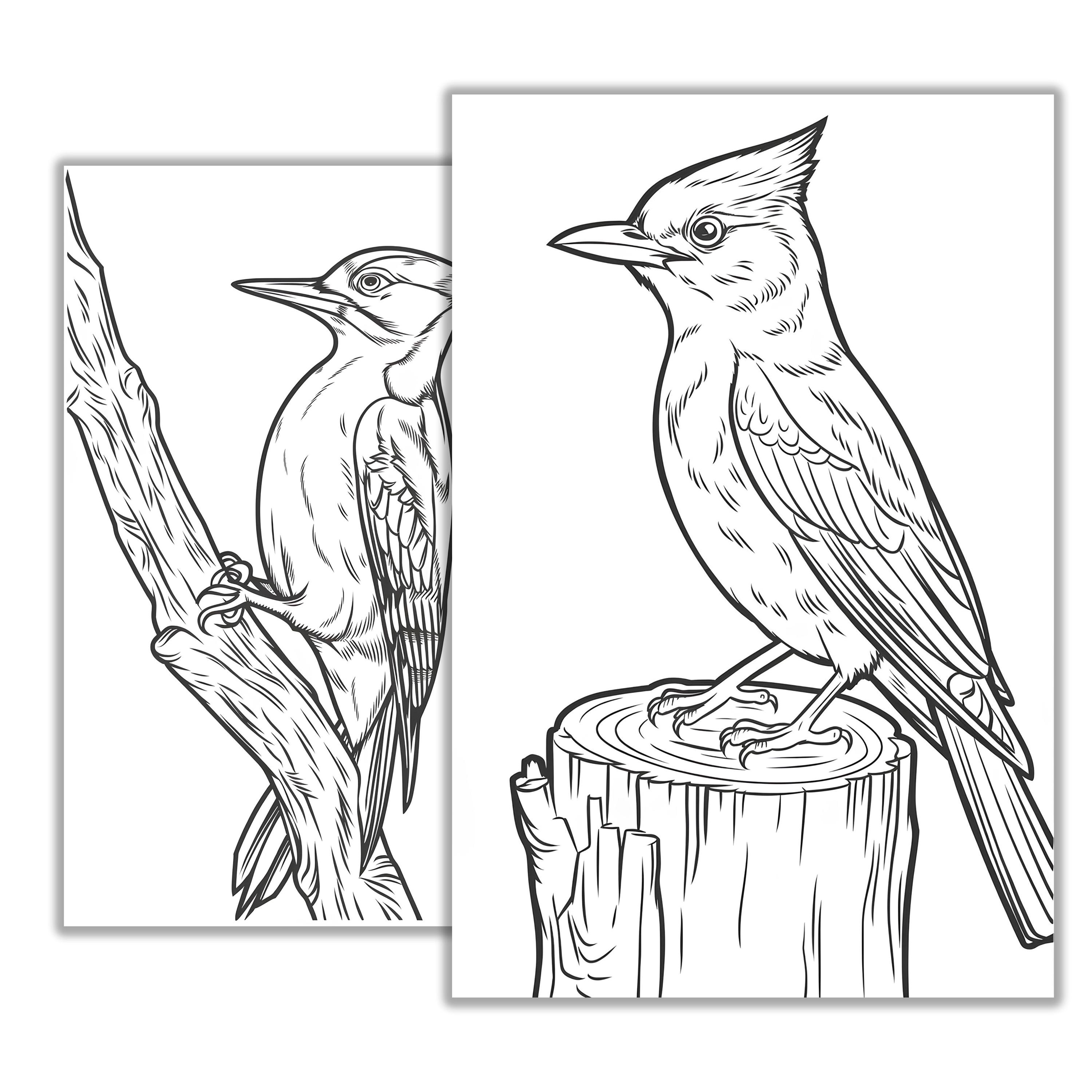 Woodpecker Coloring Page – Bird Printable for Kids & Adults, Forest Wildlife Art, Relaxing DIY ...