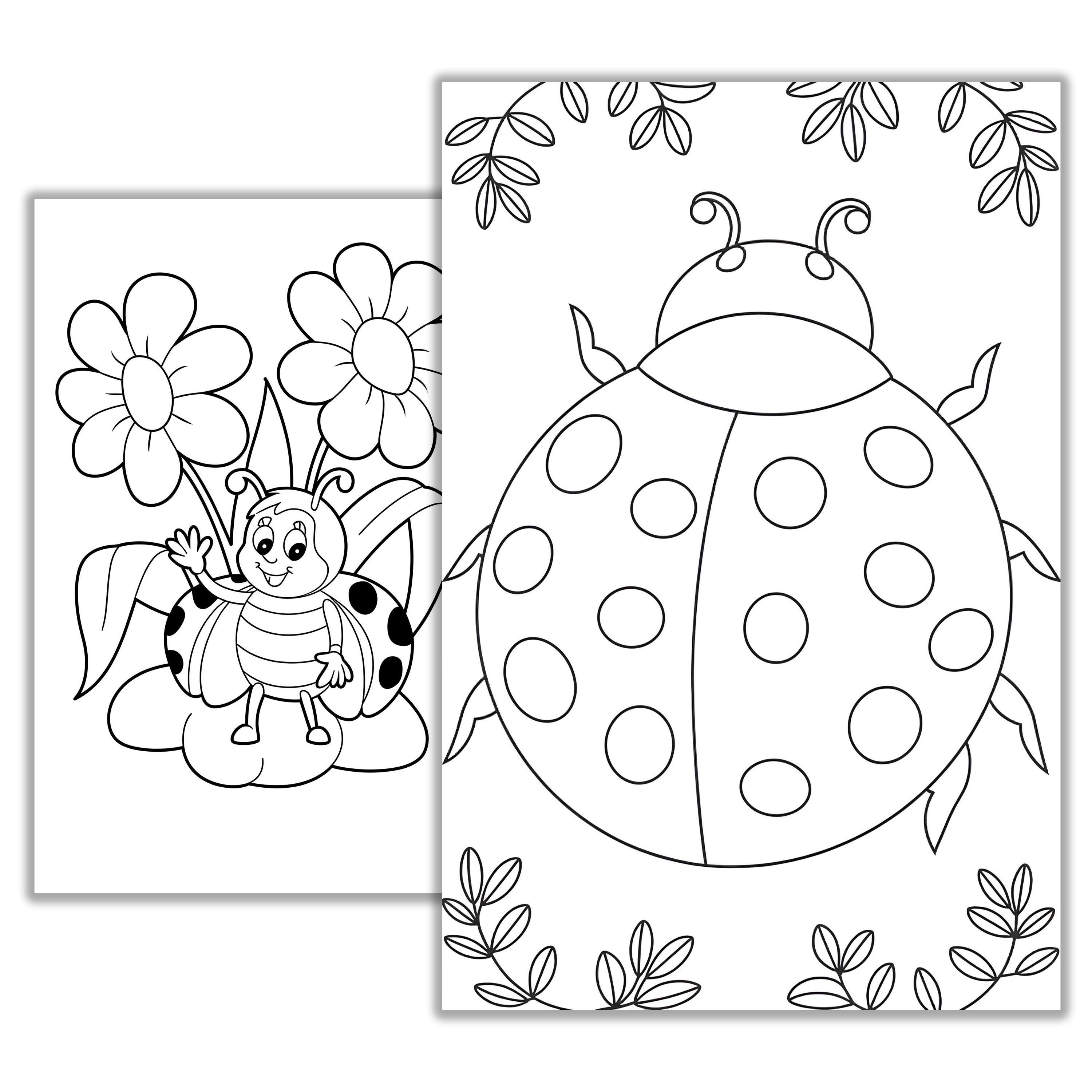 Ladybug Coloring Page – Fun and Adorable Printable Design - Etsy