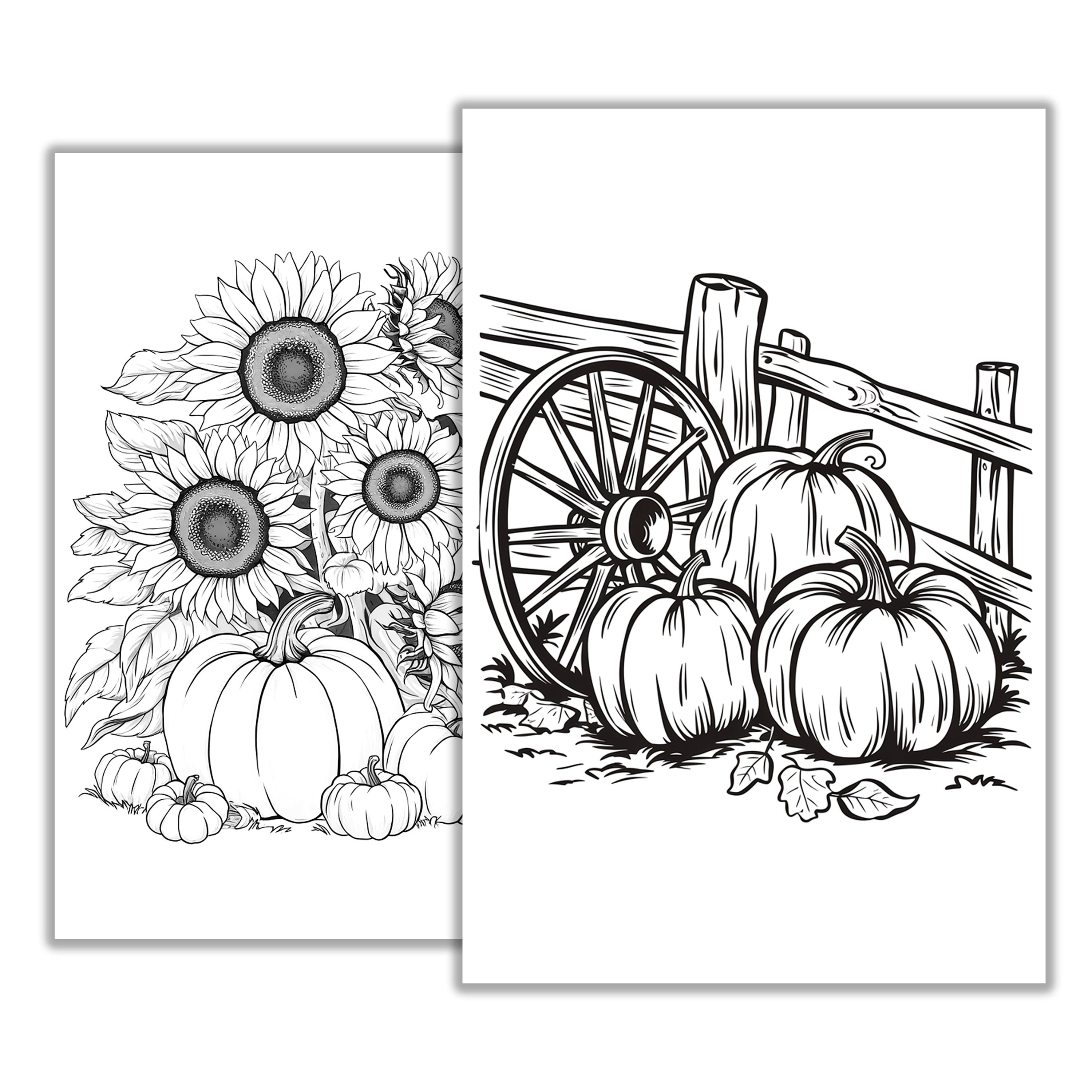 Pumpkin Coloring Pages – Printable Fall Halloween Coloring Sheets for ...