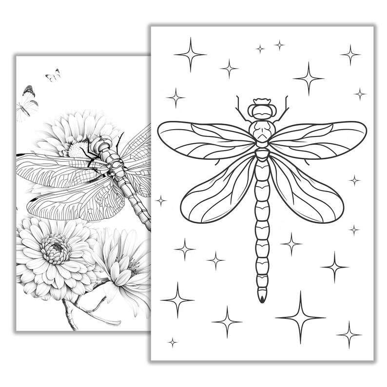 Dragonfly Coloring Page - Intricate and Detailed Nature-inspired ...