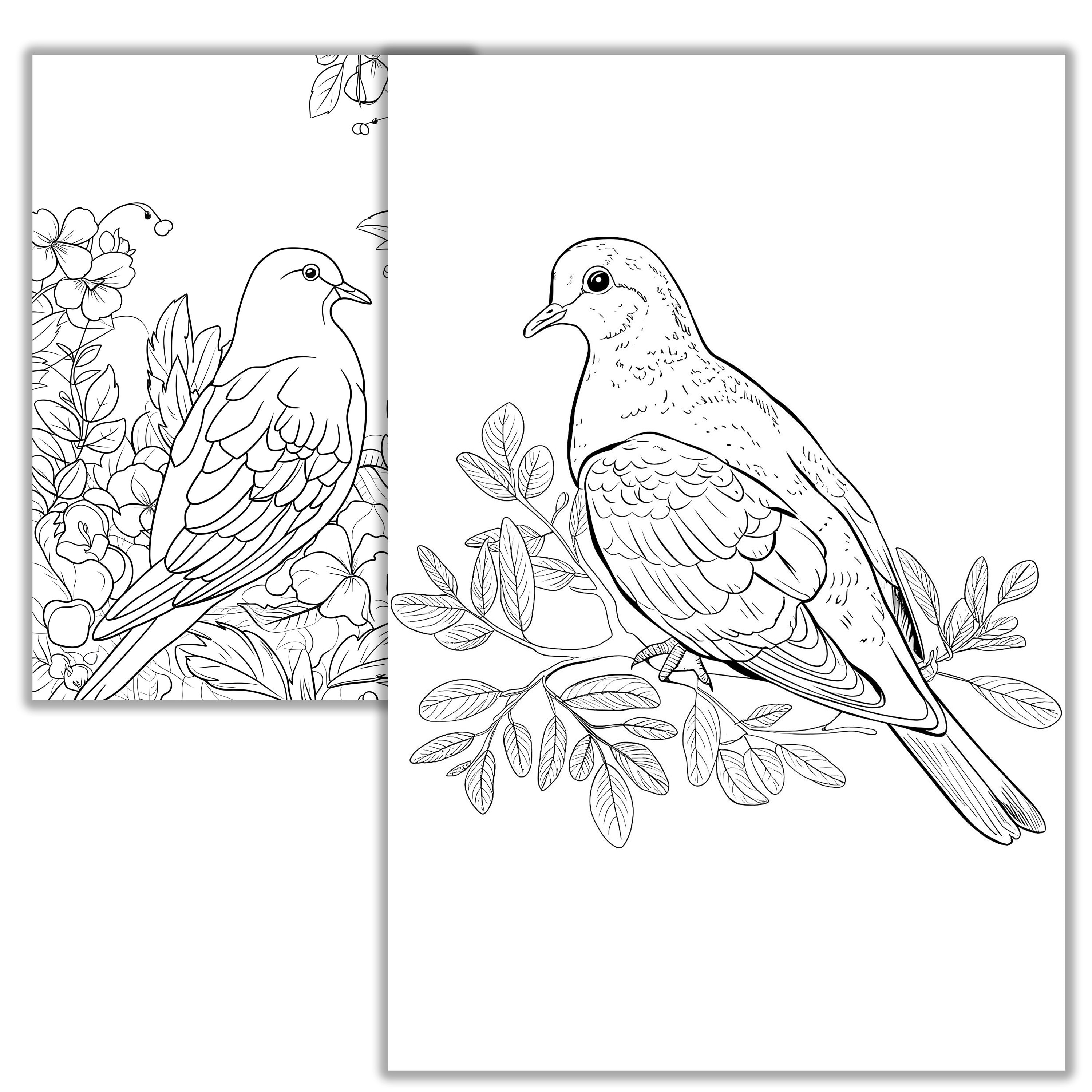 Dove Coloring Page | Printable Peaceful Art for Kids & Adults - Etsy