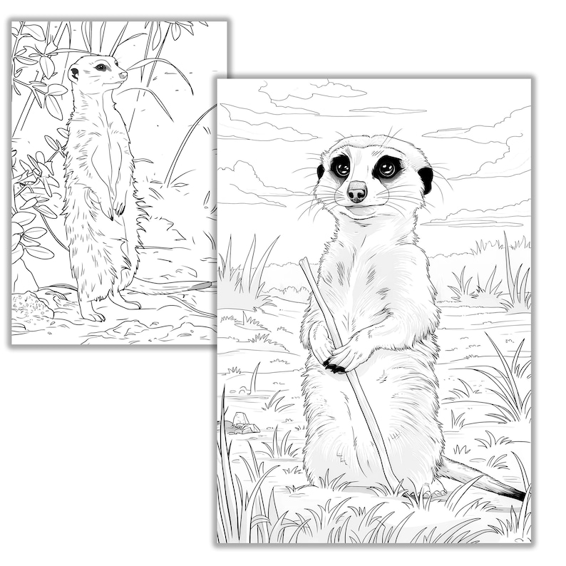 Meerkat Coloring Page | Printable Cute Animal Art for Kids & Adults - Etsy