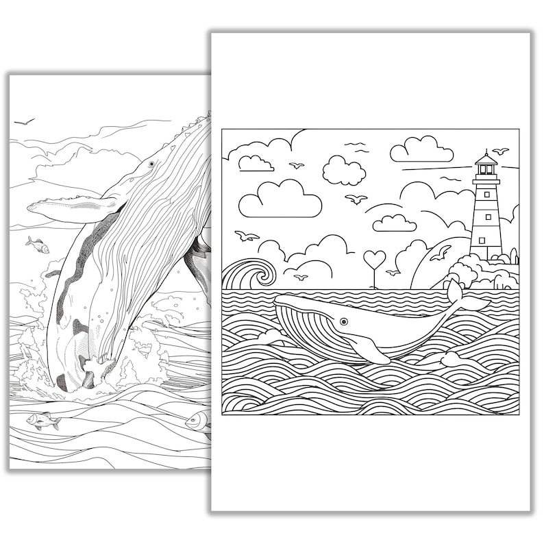 Whale Coloring Page Printable Ocean Art for Kids & Adults - Etsy
