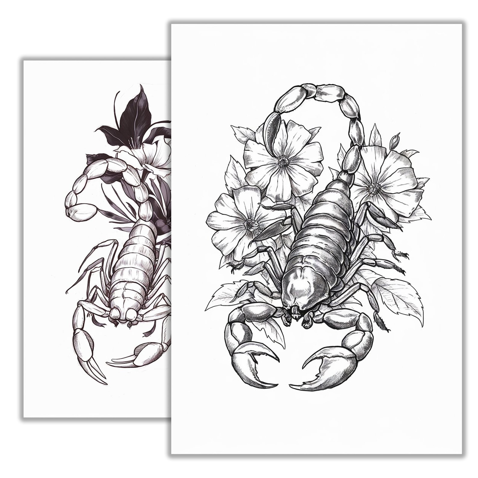 Scorpion Tattoo Sketch Intricate and Bold Design for Ink Lovers - Etsy