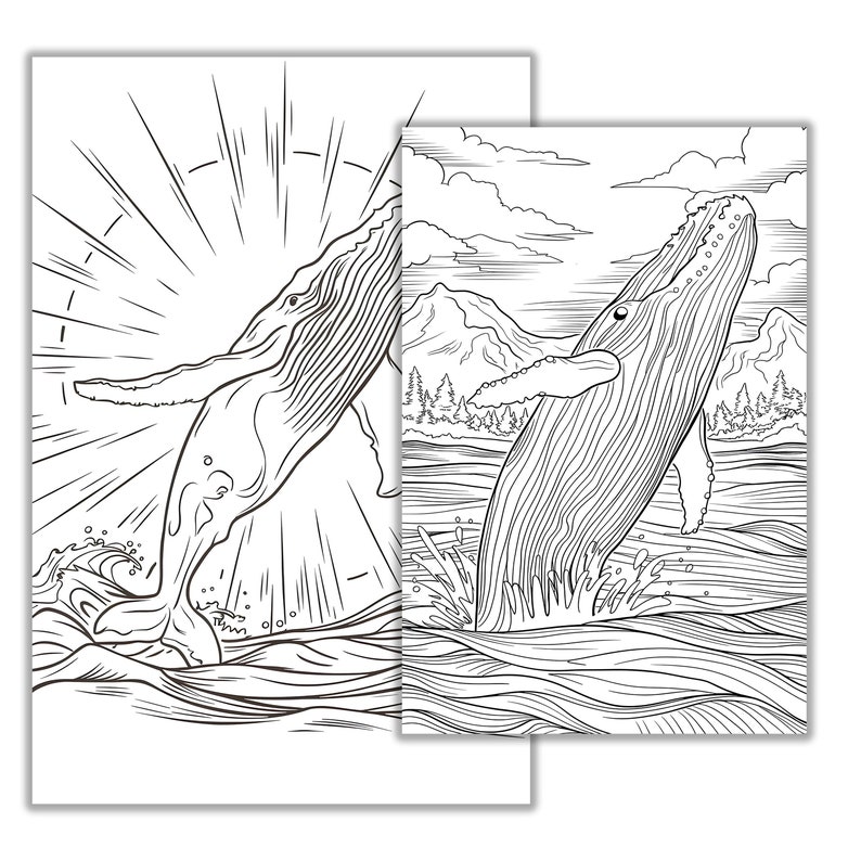 Whale Coloring Page Printable Ocean Art for Kids & Adults - Etsy