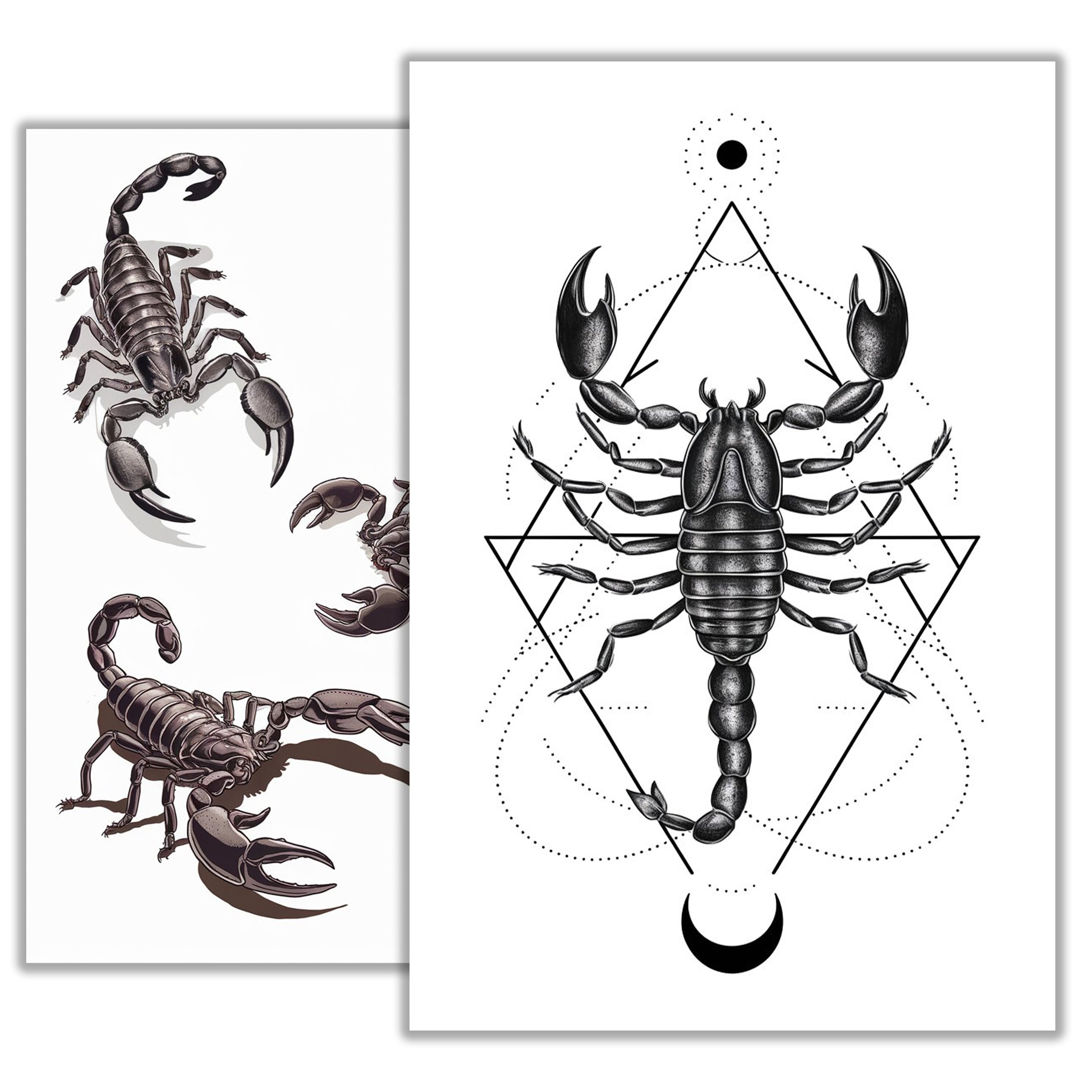 Scorpion Tattoo Sketch - Intricate and Bold Design for Ink Lovers - Etsy