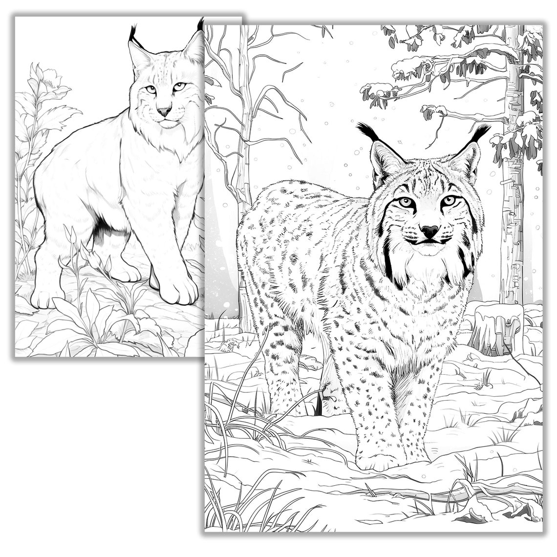 Lynx Coloring Pages | Printable Wildcat Art for Kids & Adults - Etsy
