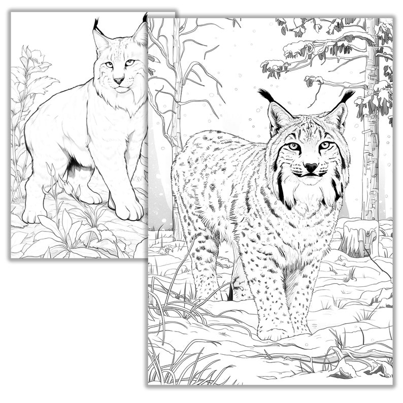 Lynx Coloring Pages | Printable Wildcat Art for Kids & Adults - Etsy