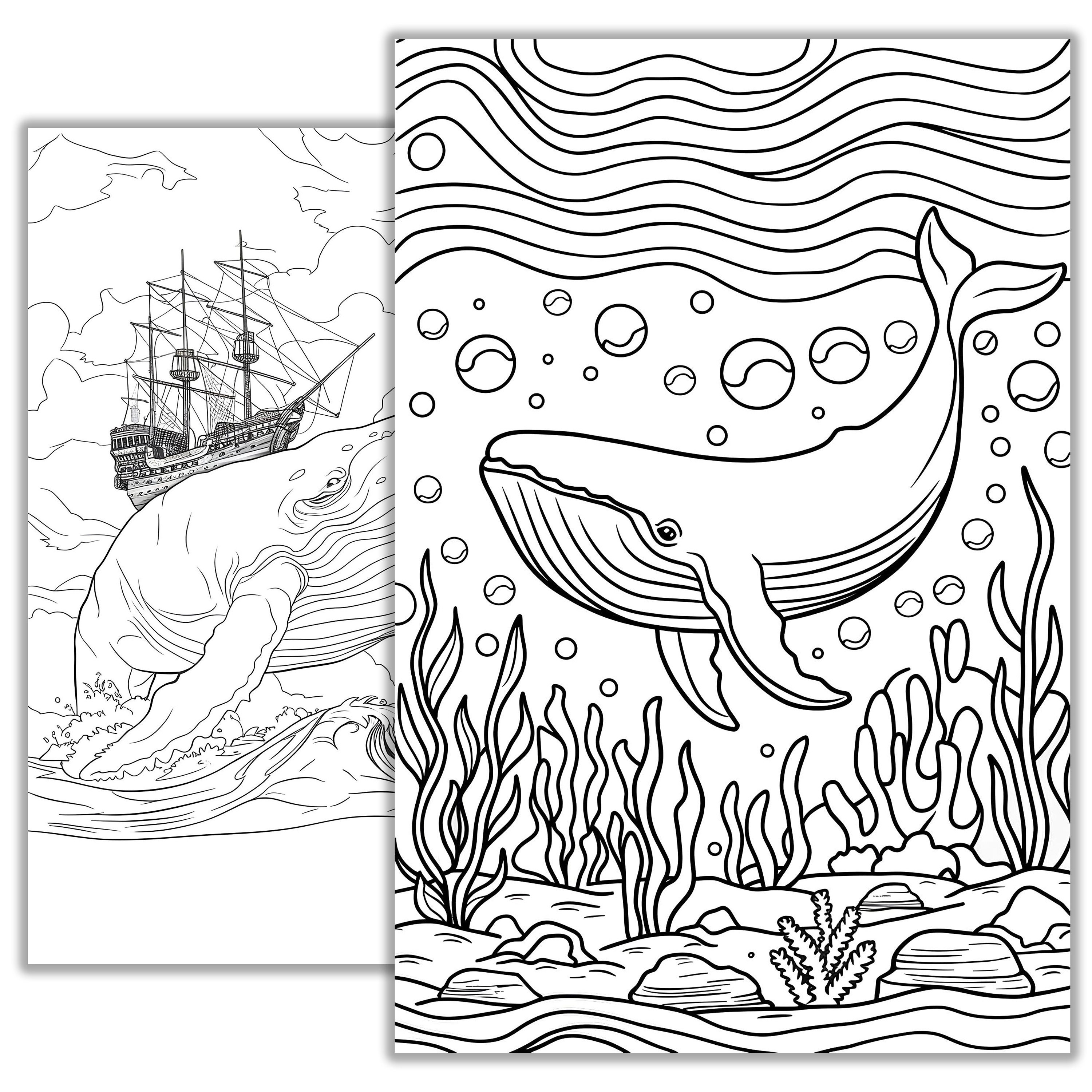 Whale Coloring Page Printable Ocean Art for Kids & Adults - Etsy