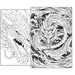 Dragon Coloring Page | Printable Fantasy Art for Kids & Adults - Etsy