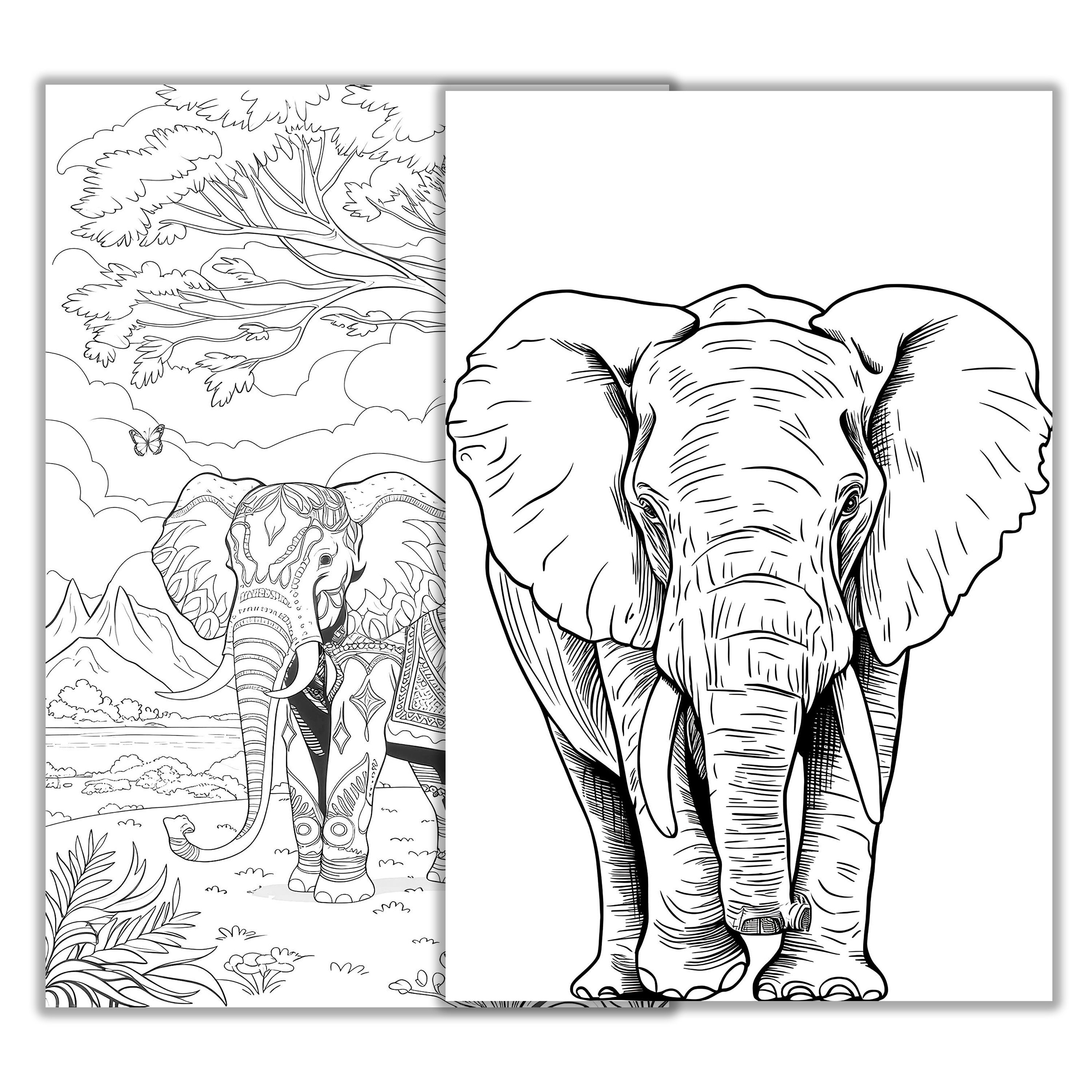Elephant Coloring Page – Printable Wildlife Art for Kids and Adults ...