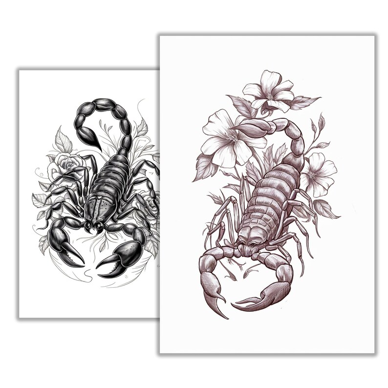 Scorpion Tattoo Sketch - Intricate and Bold Design for Ink Lovers - Etsy