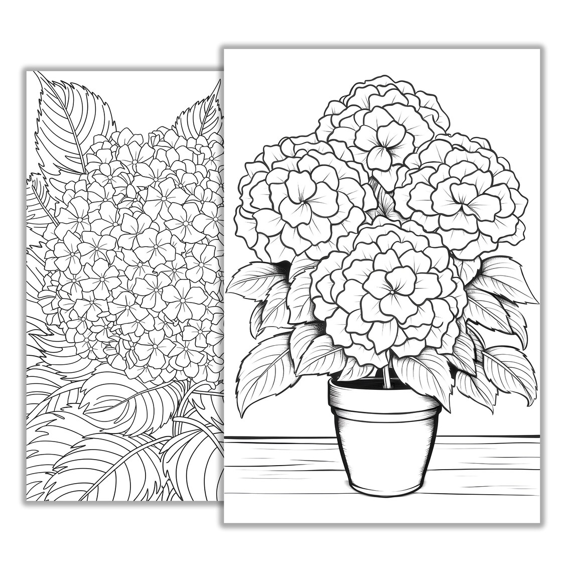 Hydrangea Flower Coloring Pages Printable Floral Art for Kids & Adults ...