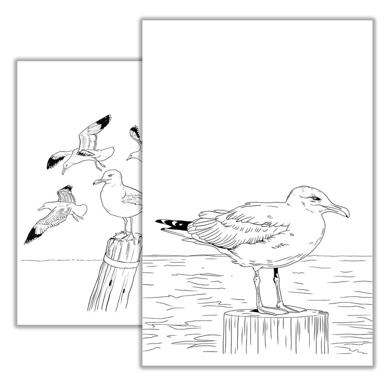 Gull Coloring Page – Printable Seagull Coloring Sheet for Kids & Adults ...