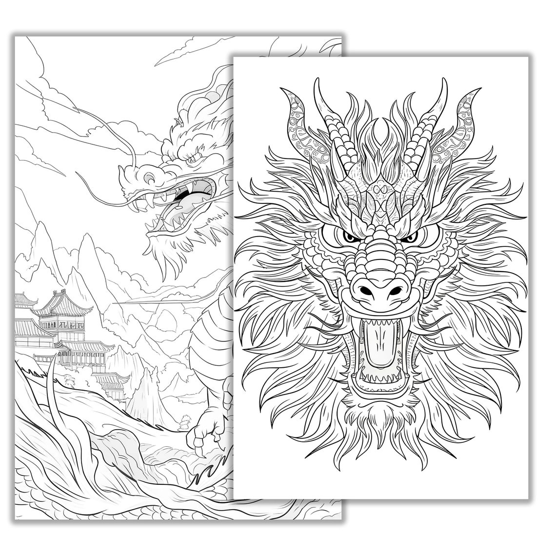 Dragon Coloring Page | Printable Fantasy Art for Kids & Adults - Etsy