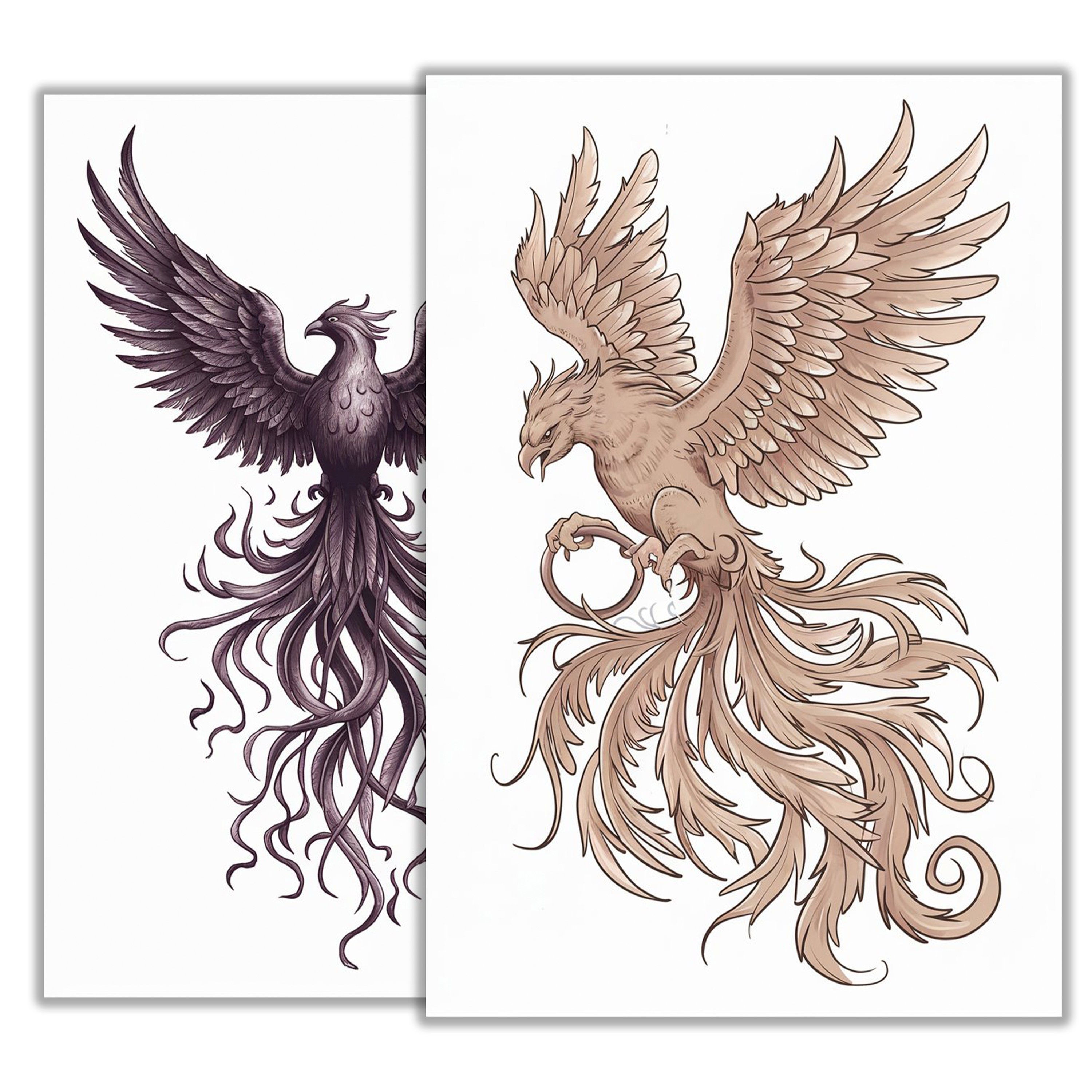 Phoenix Tattoo Sketch - Mythical Bird Line Art Design - Rebirth & Fire ...