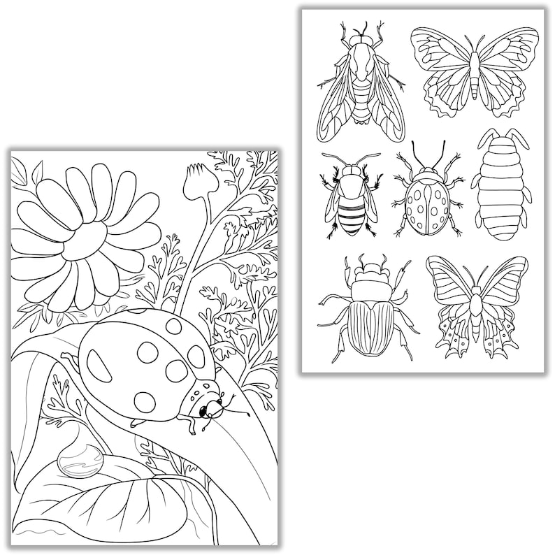 Insect Coloring Pages – Fun Printable Bug Coloring Sheets for Kids ...