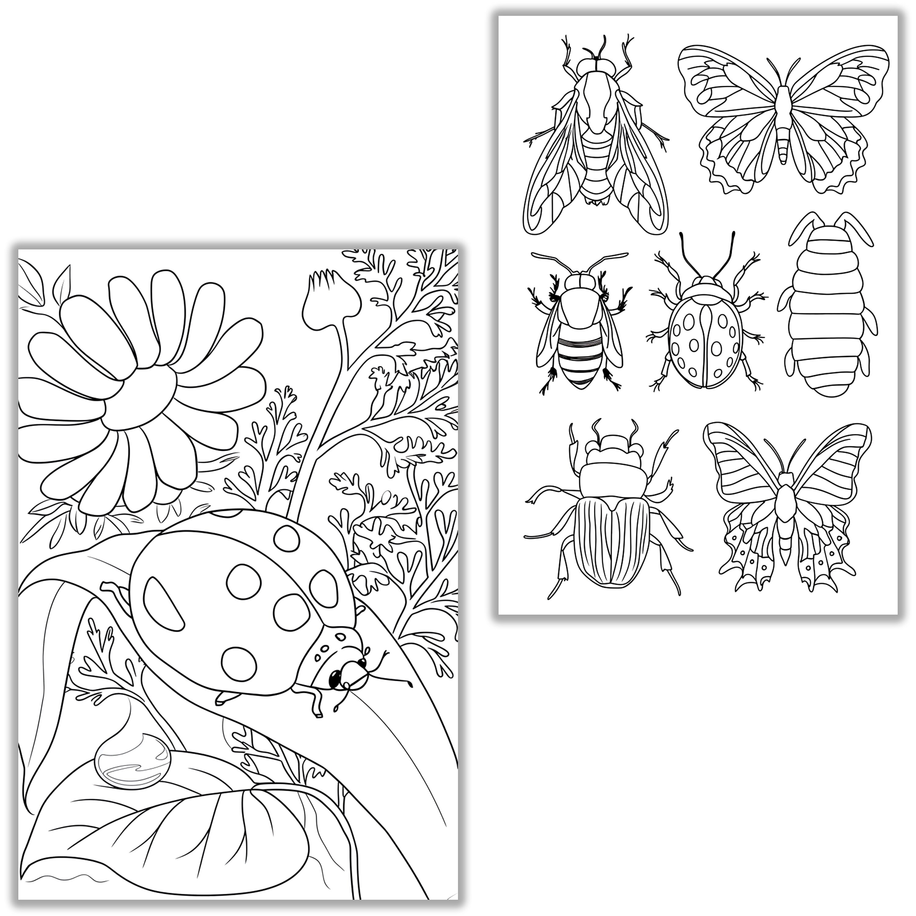 Insect Coloring Pages – Fun Printable Bug Coloring Sheets for Kids ...