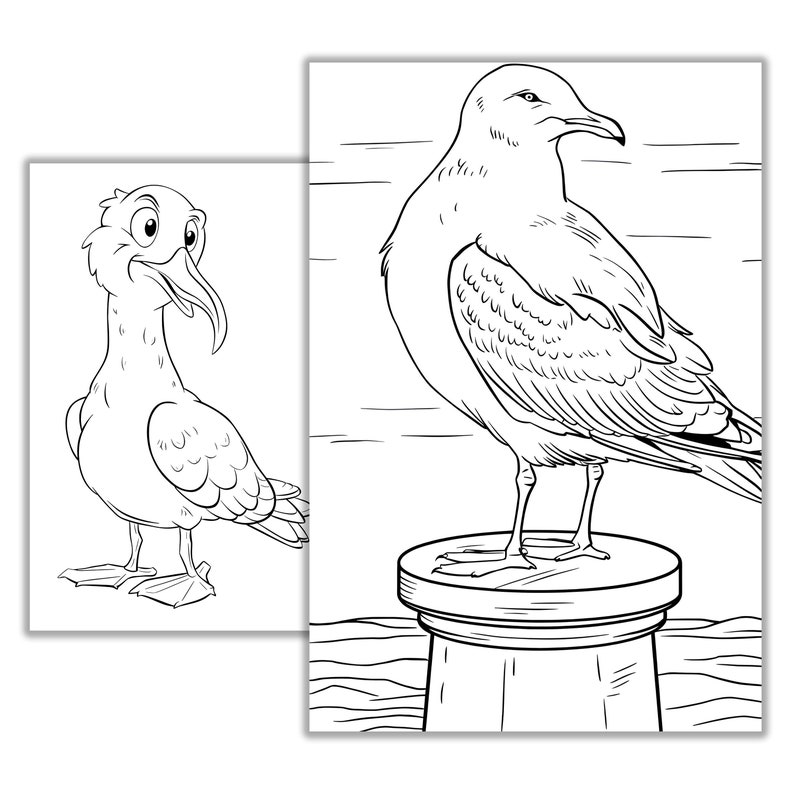 Gull Coloring Page Printable Coastal Art for Kids & Adults - Etsy