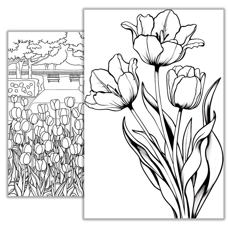 Tulips Coloring Pages. Coloring Pages for Adults. Coloring Pages for ...