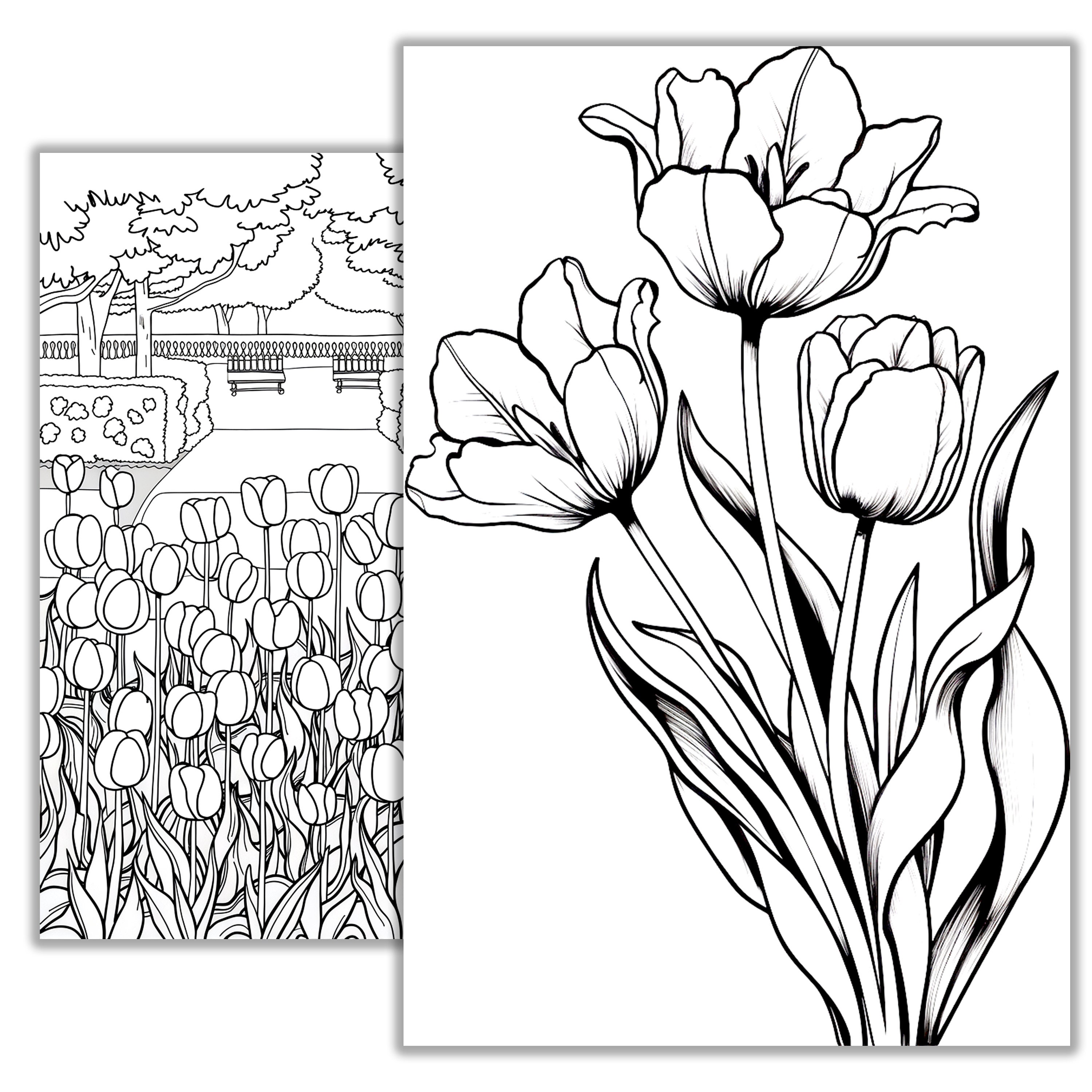 Tulips Coloring Pages. Coloring Pages for Adults. Coloring Pages for ...