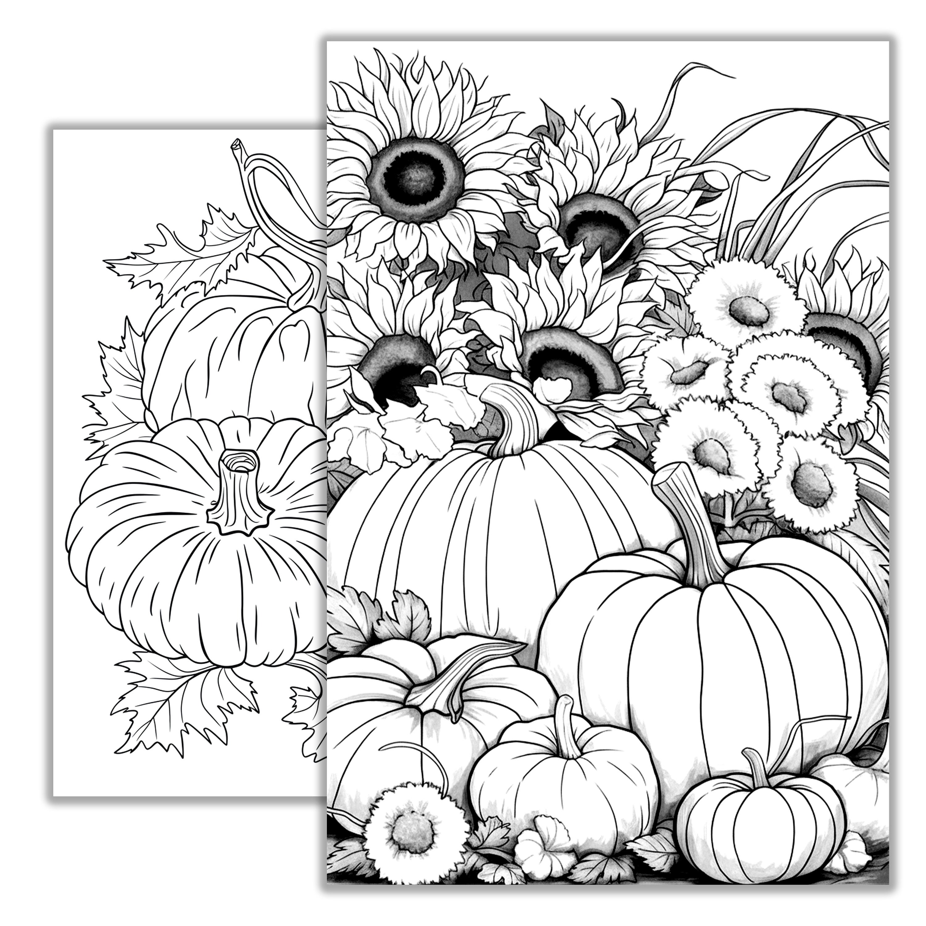 Printable Pumpkin Coloring Pages - Fun & Festive Designs for All Ages ...