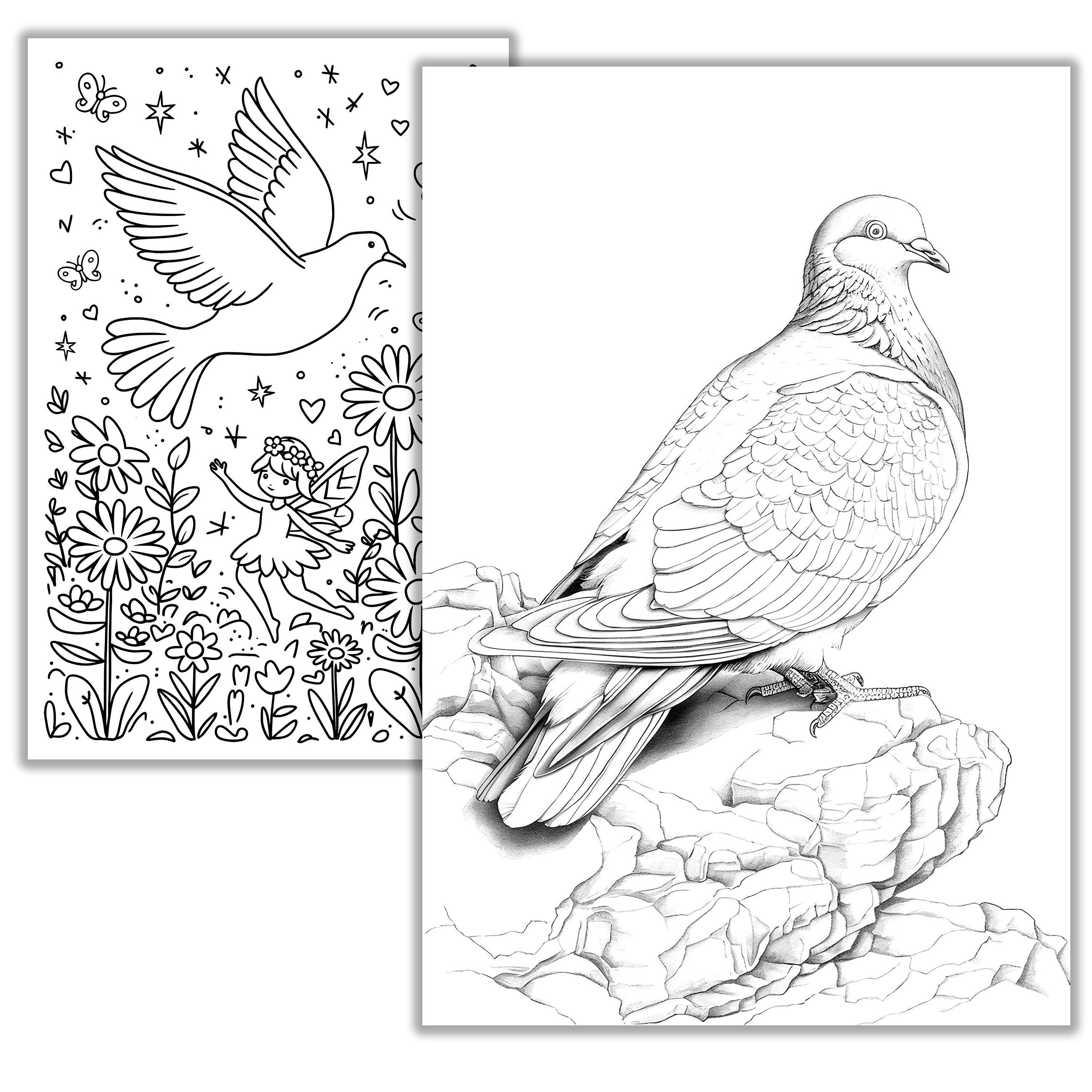 Dove Coloring Page | Printable Peaceful Art for Kids & Adults - Etsy