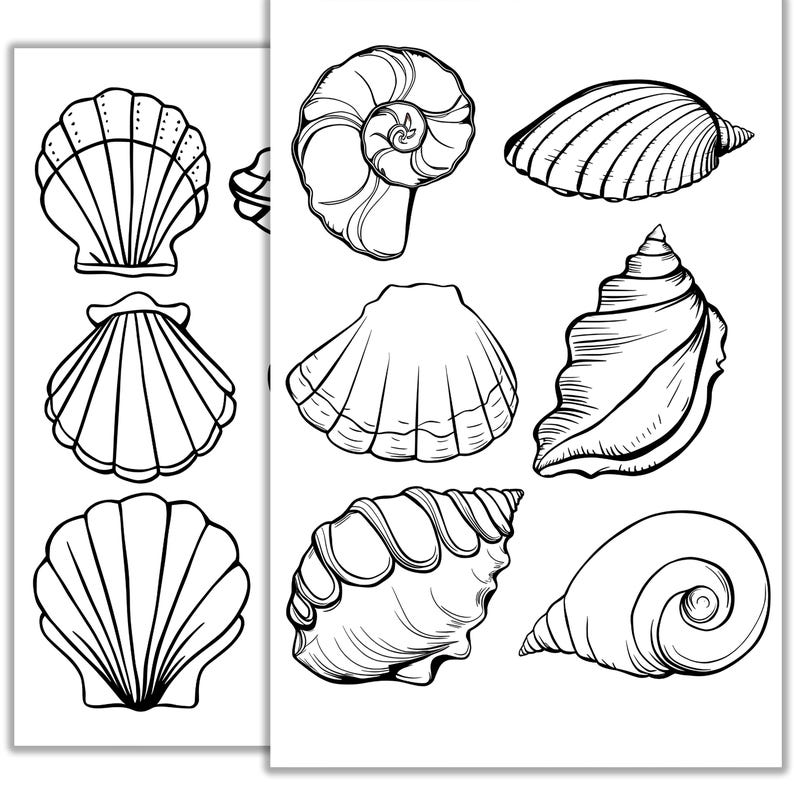Seashells Coloring Page – Intricate Ocean-inspired Printable Art ...