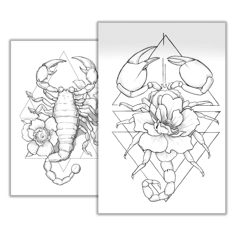 Scorpion Tattoo Sketch - Intricate and Bold Design for Ink Lovers - Etsy