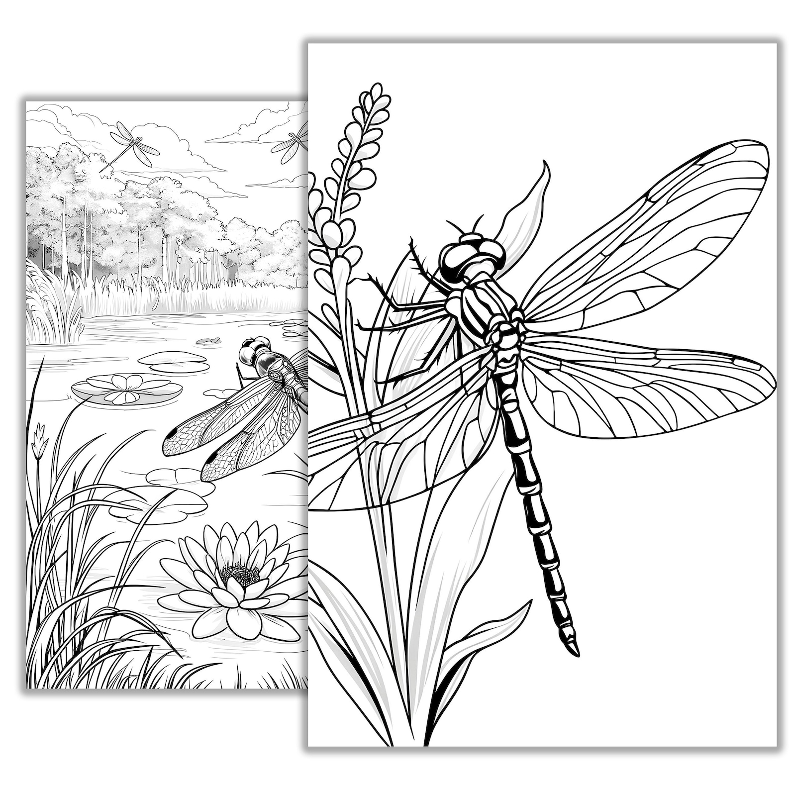 Dragonfly Coloring Page - Intricate and Detailed Nature-inspired ...