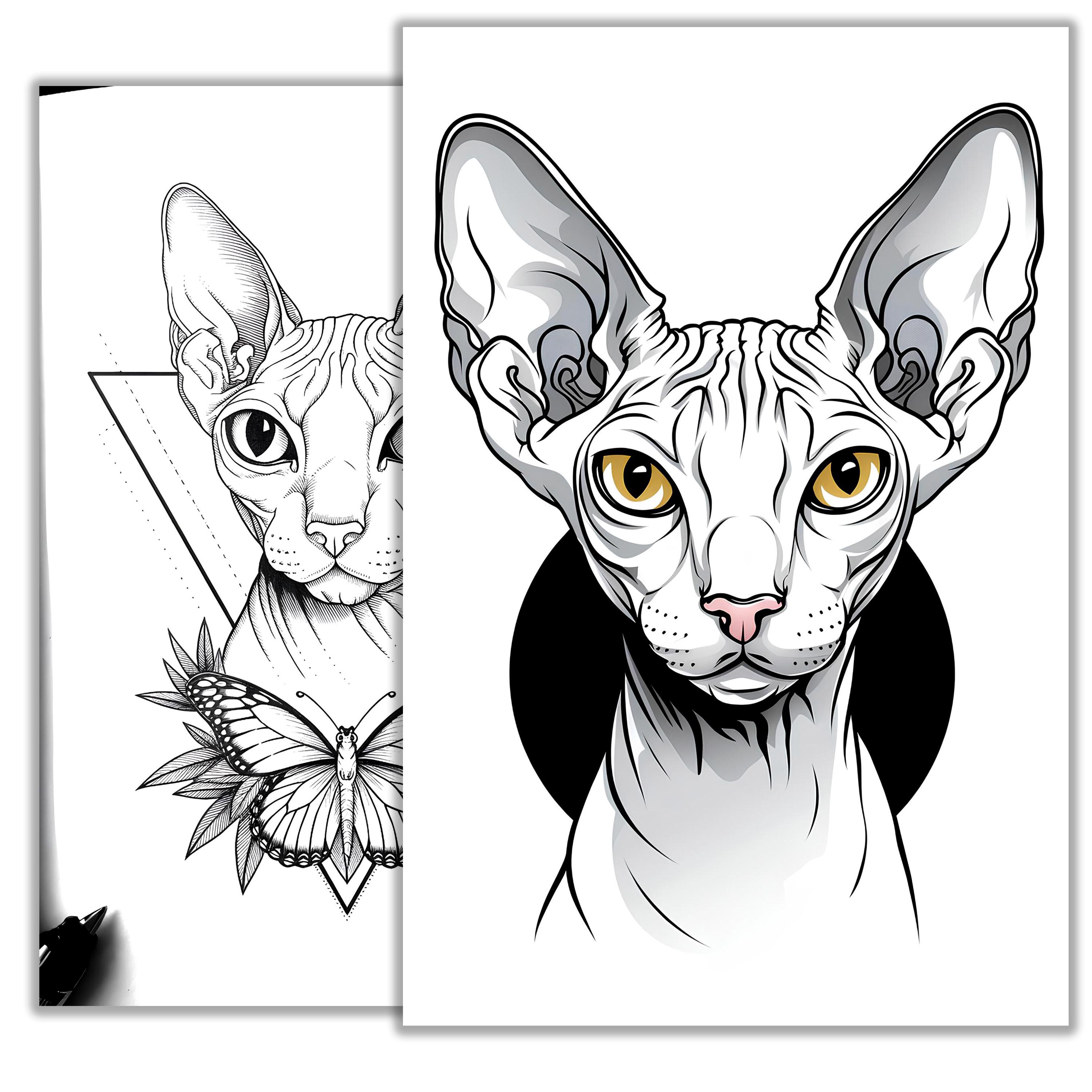 Sphynx Cat Tattoo Drawing