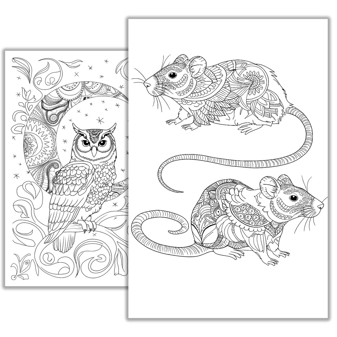 Animals and Birds Coloring Pages - Printable Wildlife Coloring Sheets ...