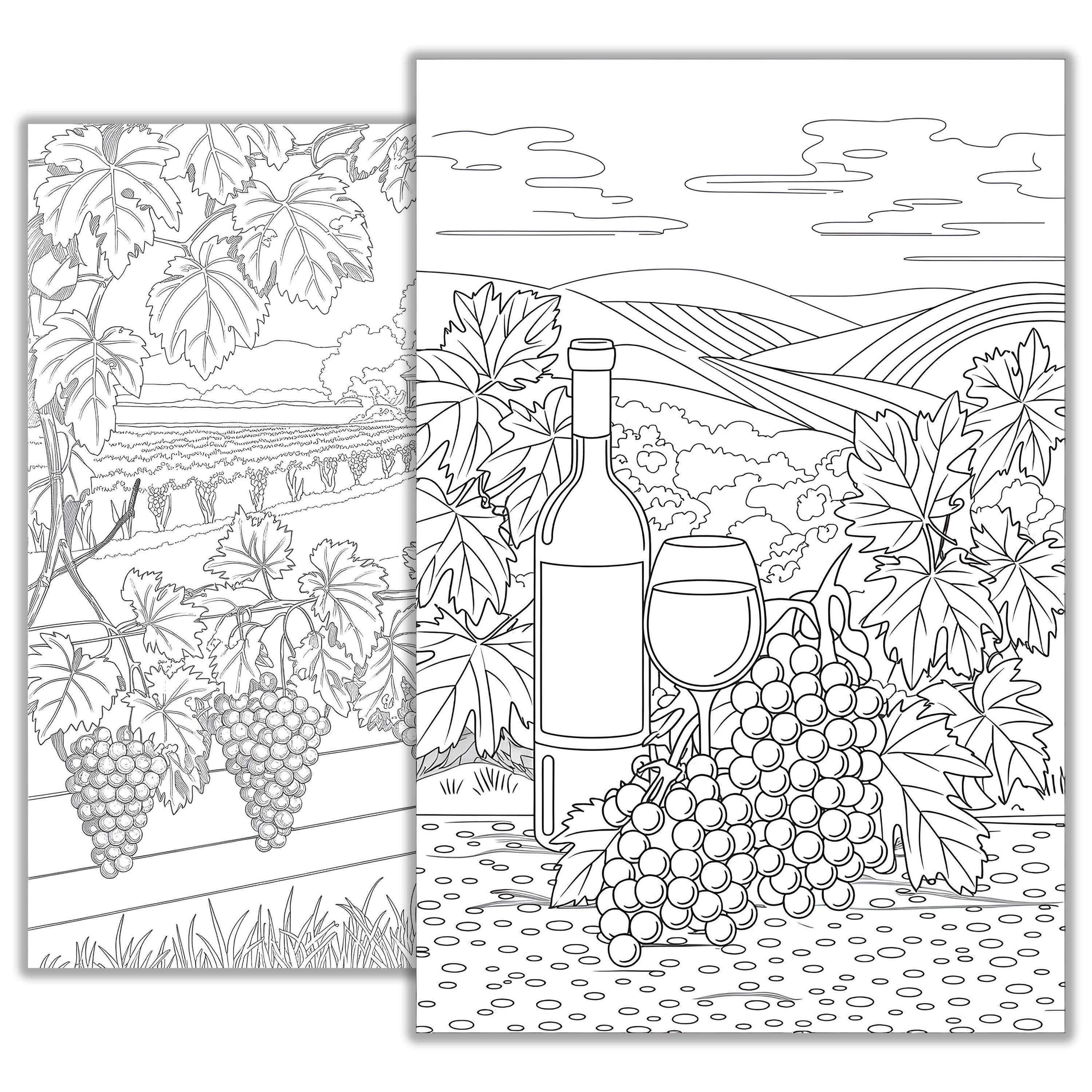 Grape Coloring Page – Fun and Detailed Printable Fruit Design - Etsy