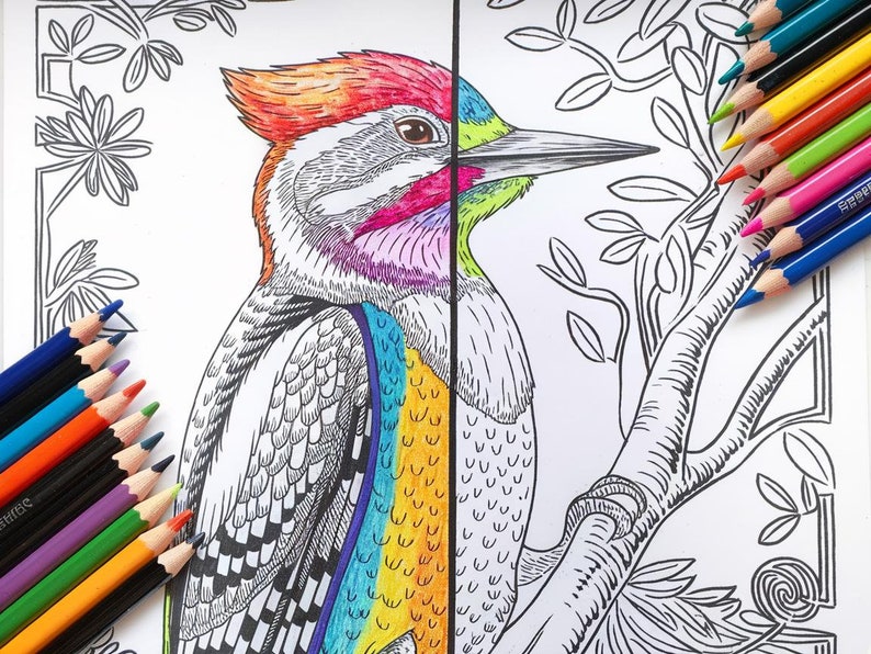 Printable Woodpecker Coloring Page Detailed Nature-inspired Design for ...