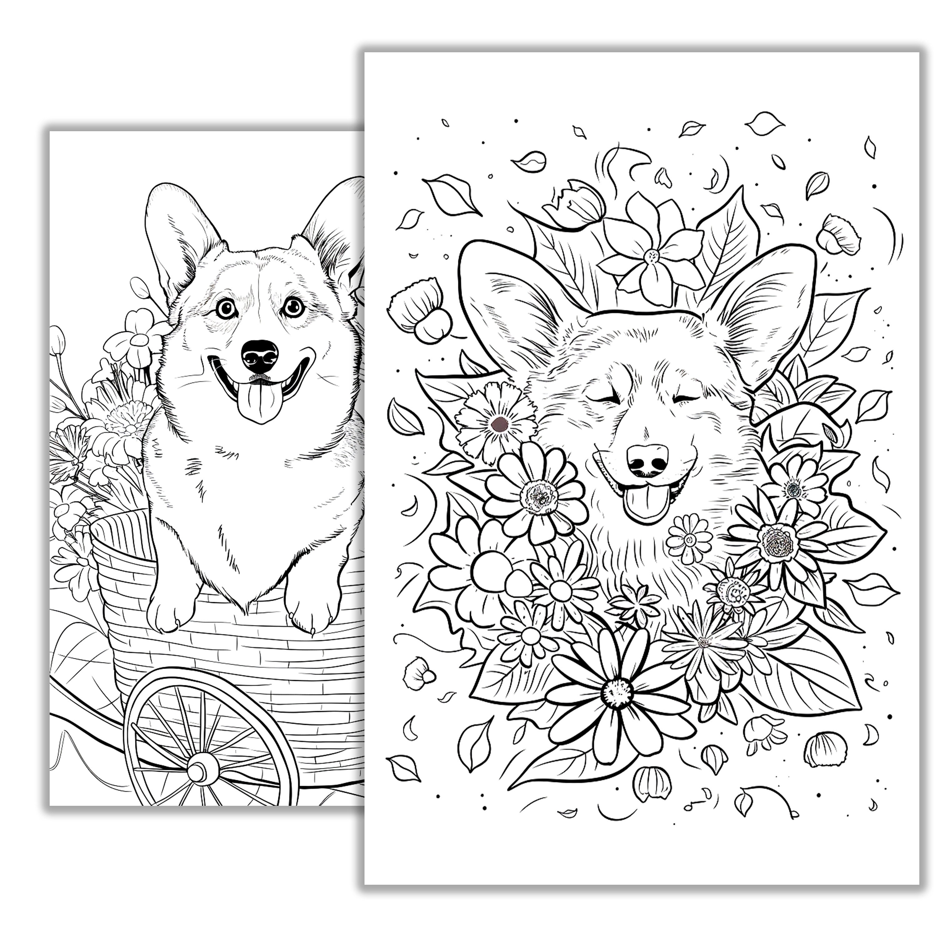 Corgi Coloring Pages Printable Dog Art for Stress Relief & Fun - Etsy