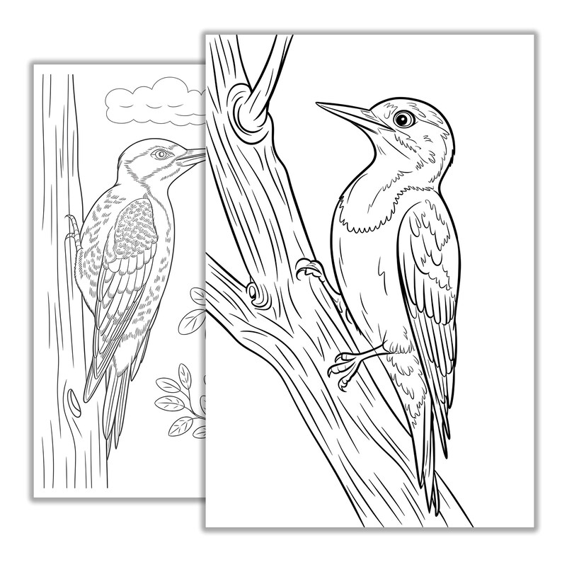 Printable Woodpecker Coloring Page Detailed Nature-inspired Design for ...
