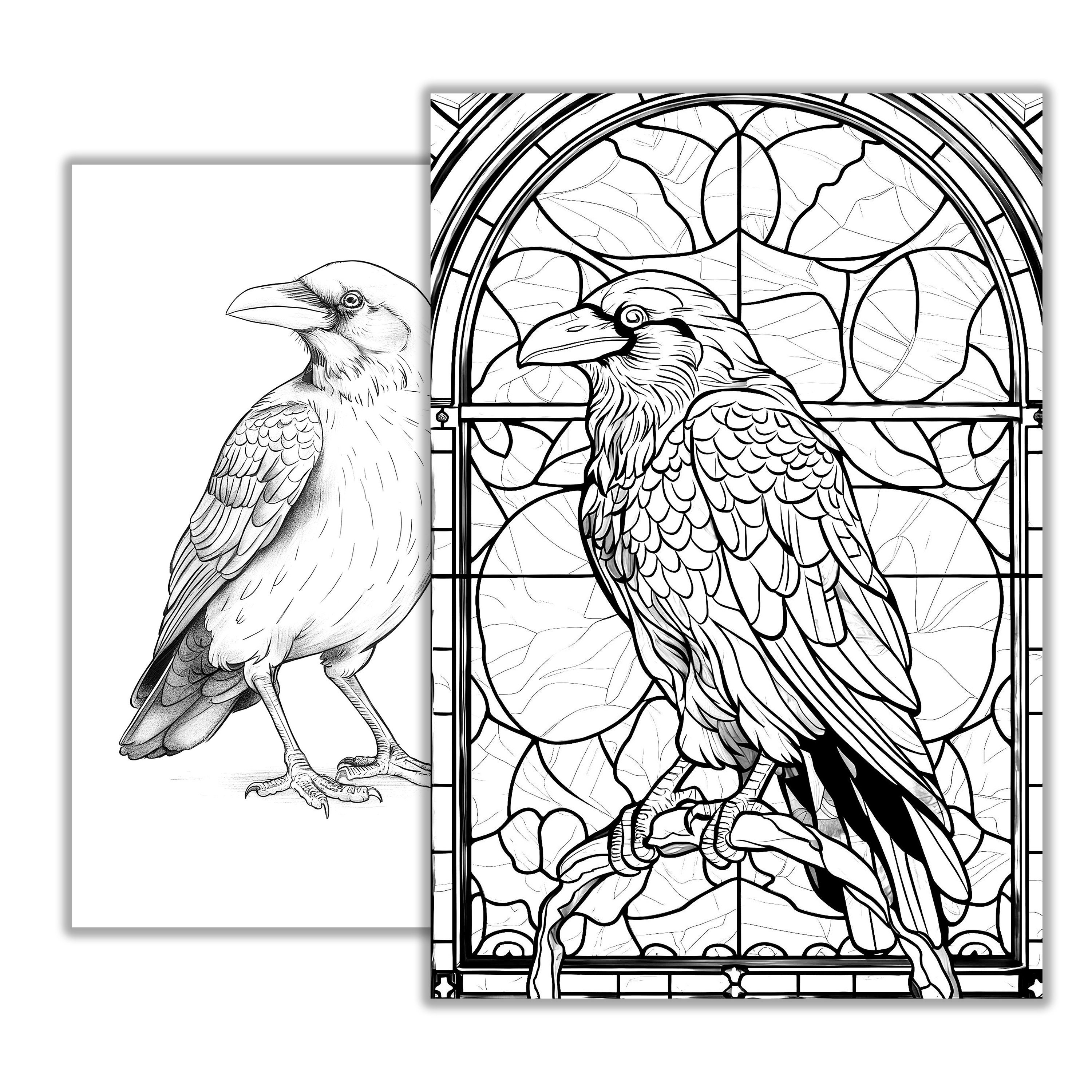 Raven Coloring Page – Printable Gothic Bird Line Art for Adults & Teens ...