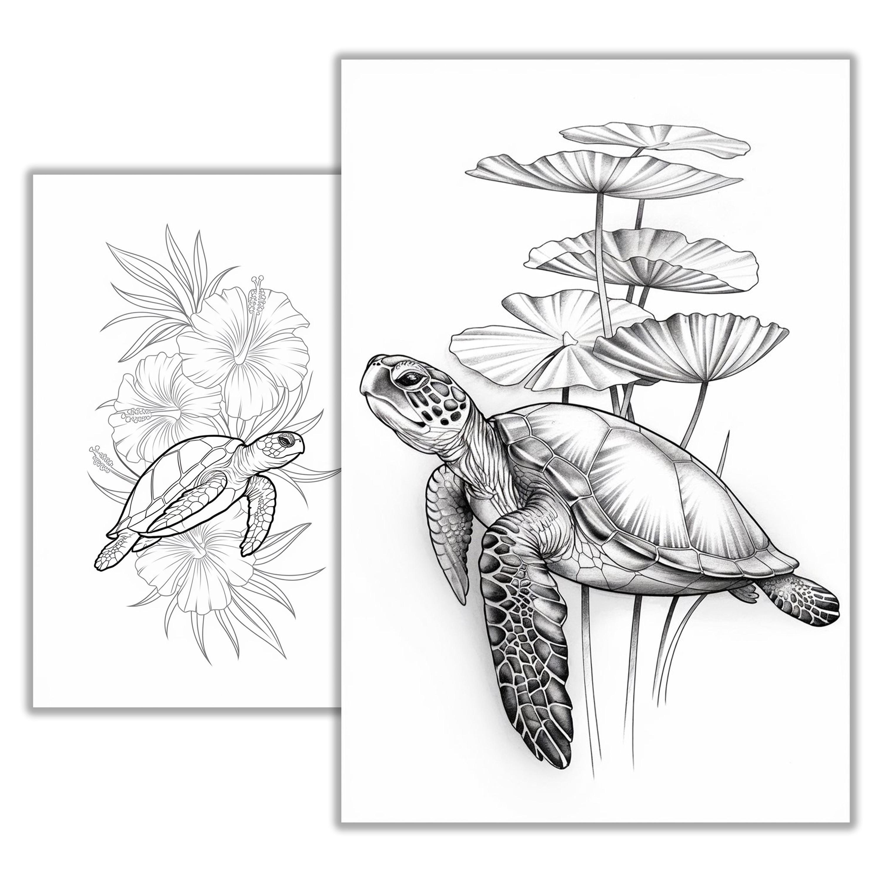 Turtle Sketch Tattoo Design - Unique and Detailed Turtle Tattoo Art - Etsy