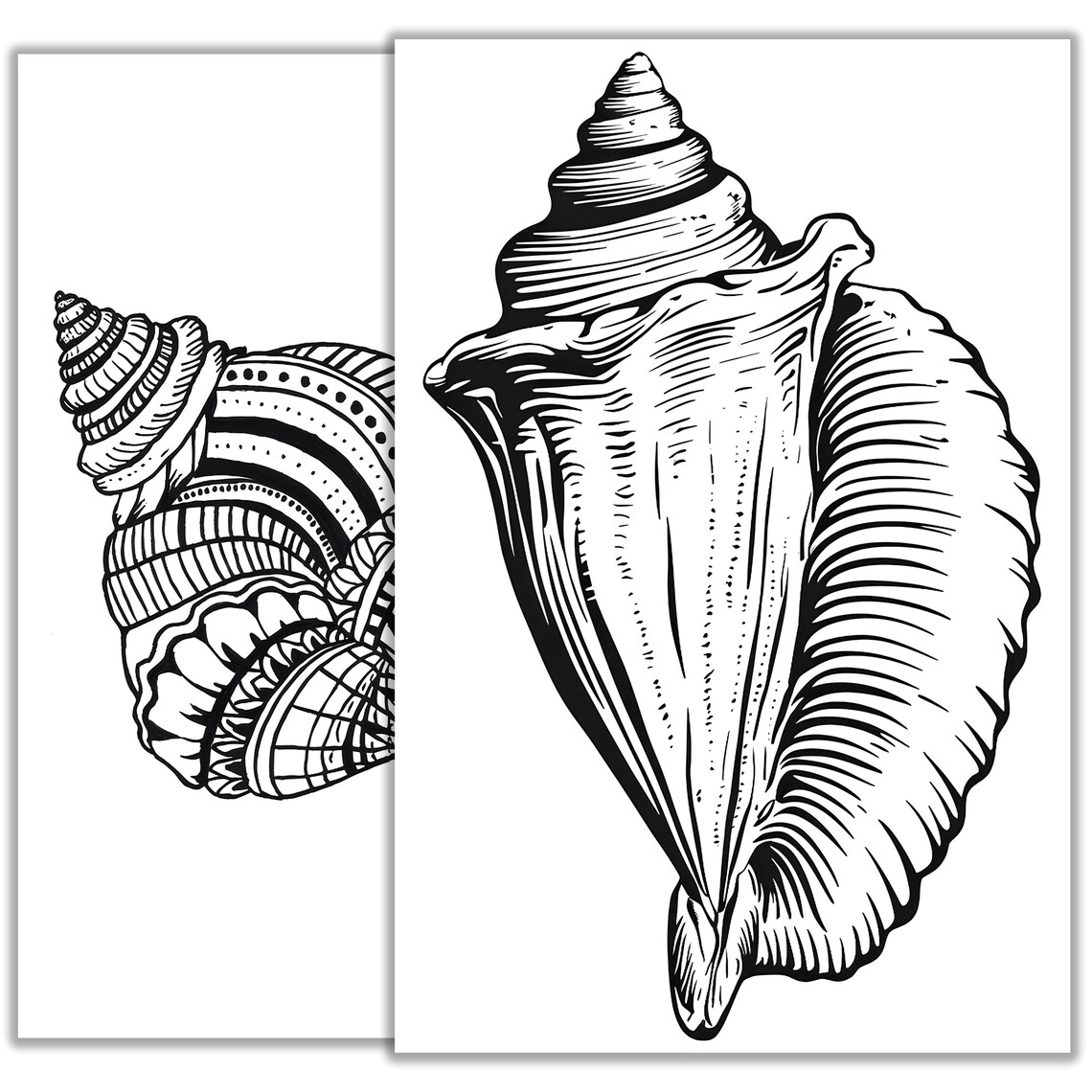 Seashells Coloring Page – Intricate Ocean-inspired Printable Art ...
