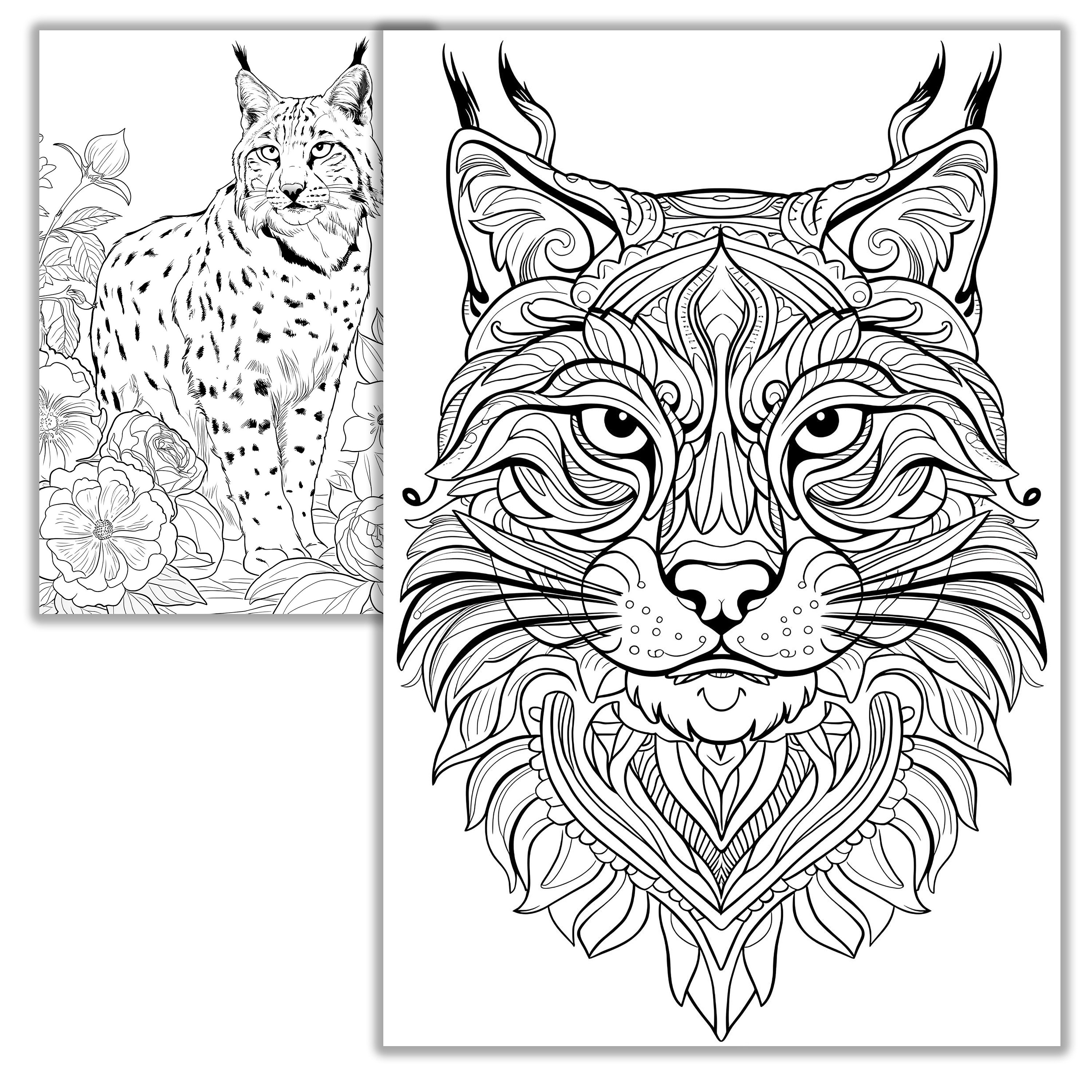 Lynx Coloring Pages | Printable Wildcat Art for Kids & Adults - Etsy