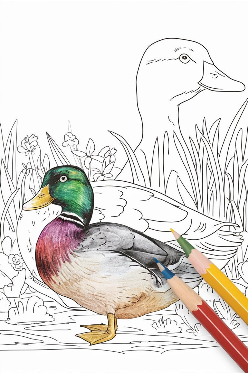 Charming Duck Coloring Pages - Fun & Relaxing Printable Art for All ...