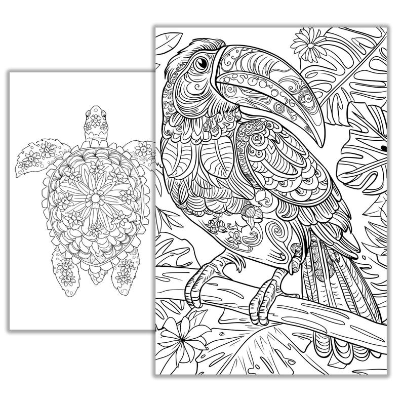Animals and Birds Coloring Pages - Printable Wildlife Coloring Sheets ...