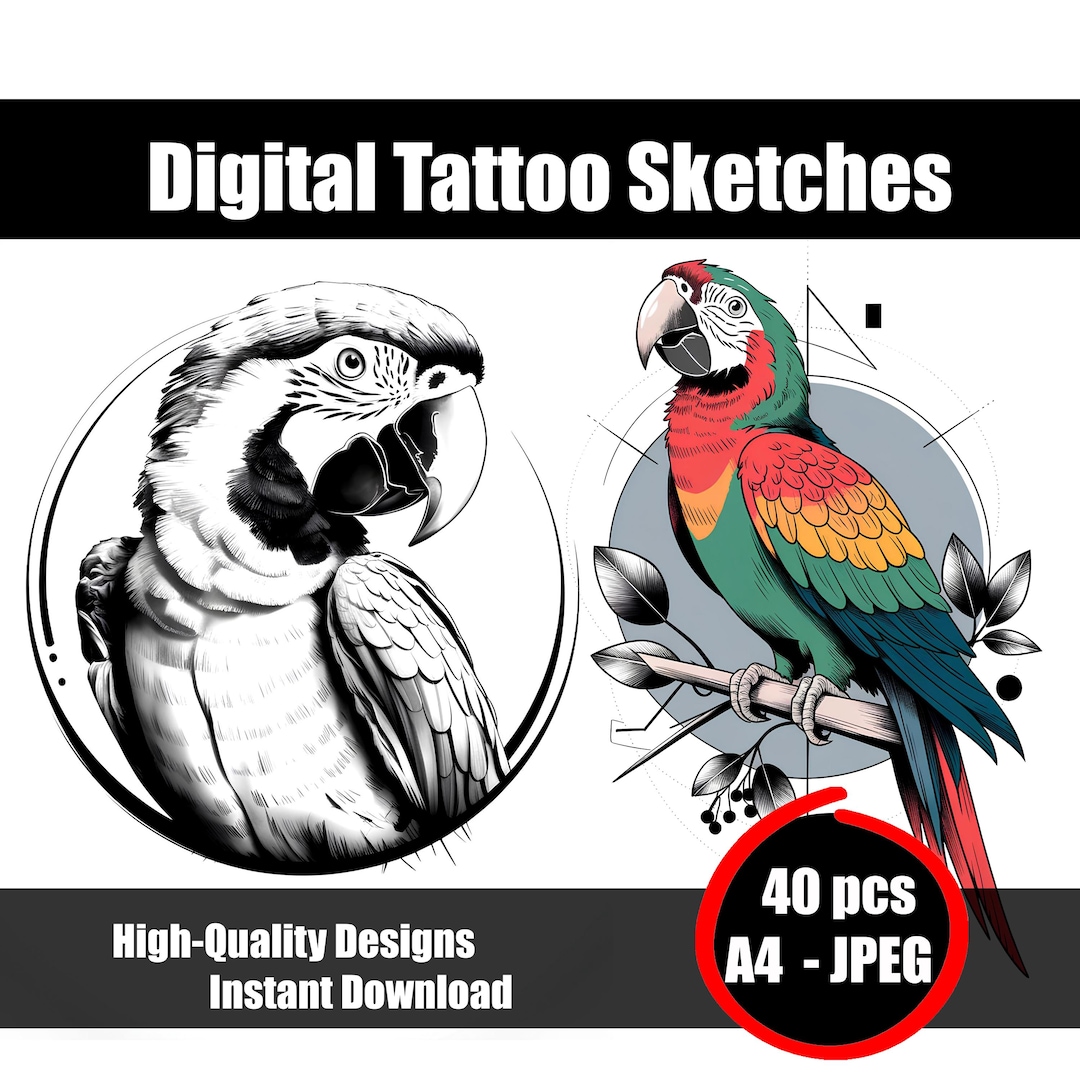 Parrot Tattoo Sketch – Tropical Bird Line Art Design, Colorful Wildlife ...